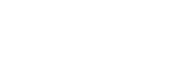 VISWAM.ai - AI for the Global South — Viswam